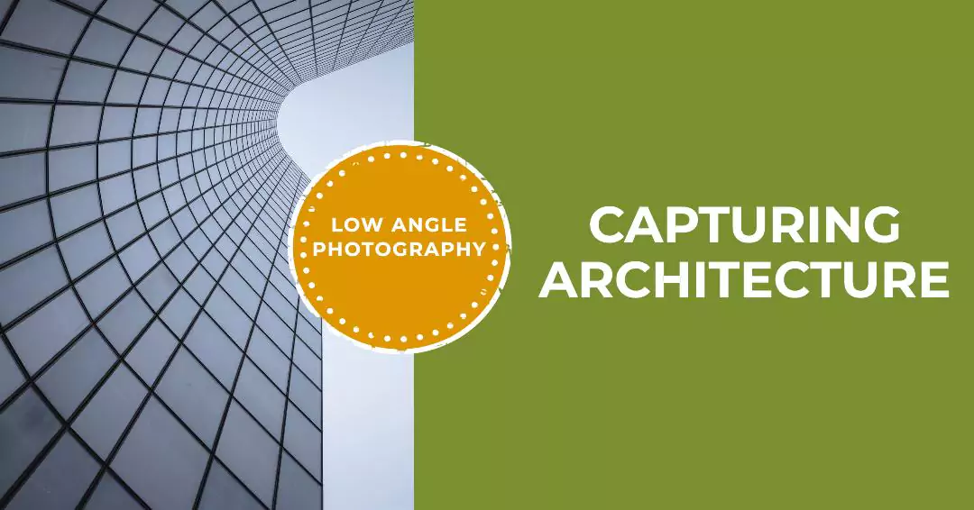 Low Angle Photography Tips to get inspiring views